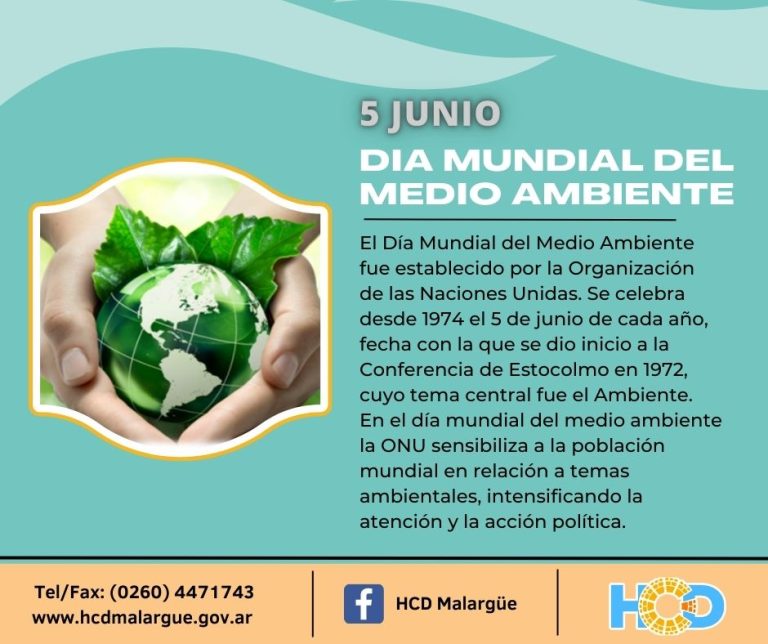 Descubre POR QUE SE CELEBRA el DIA DEL MEDIO AMBIENTE